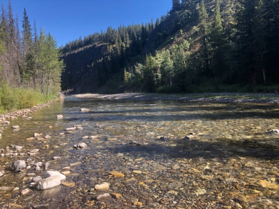 Hiking to Carnarvon Lake - The Most Beautiful Lake in Kananaskis, Alberta
