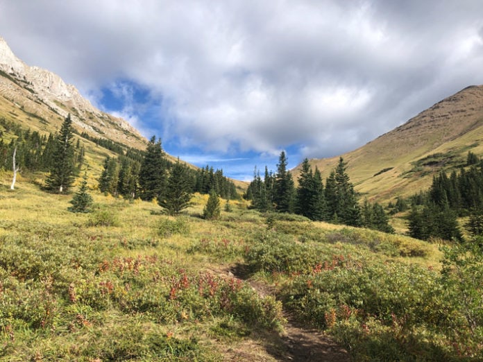 Hiking Mist Mountain in Kananaskis: Hot Springs and True Summit